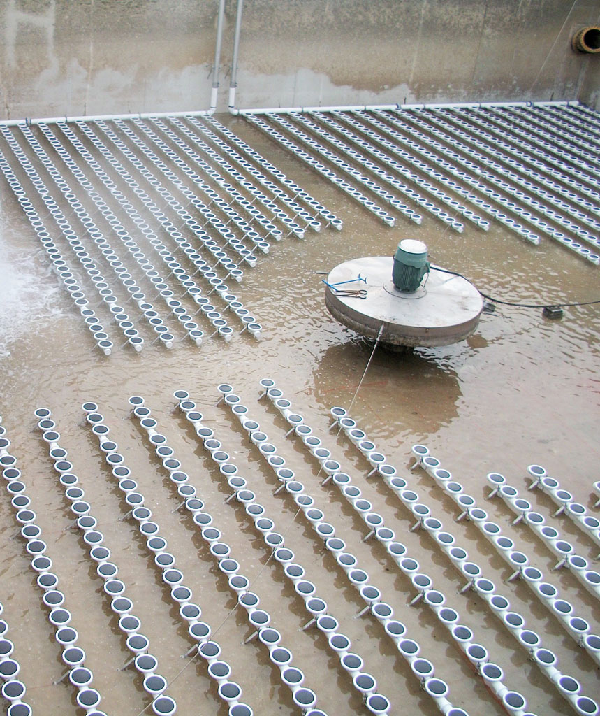 Diffused Aeration – Fine and Coarse Bubble Systems - Aquarius ...