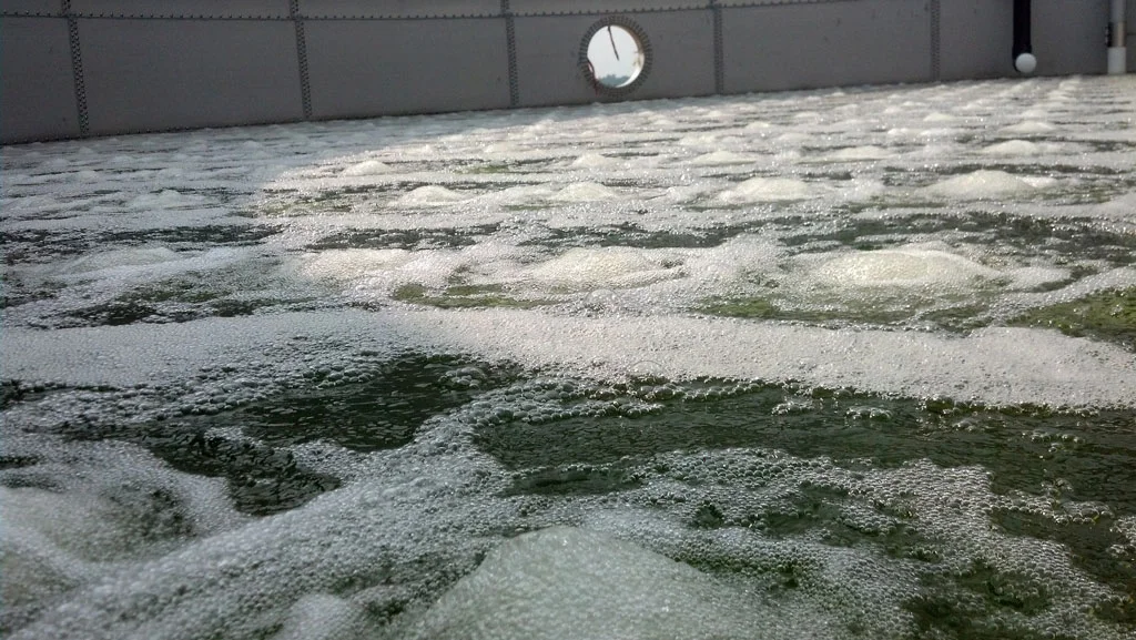 Diffused Aeration – Fine and Coarse Bubble Systems - Aquarius ...